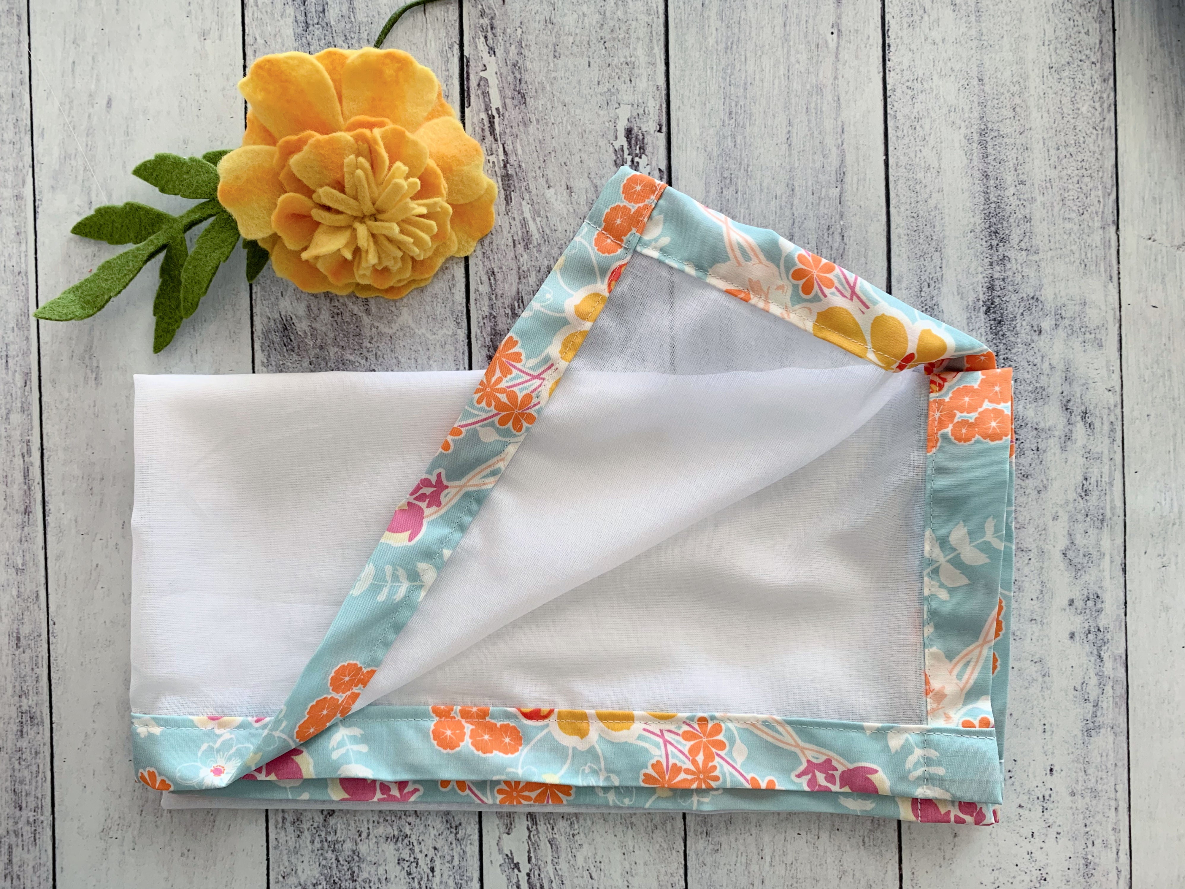 Food Nets- To Keep the Bugs Away – Dot and Army